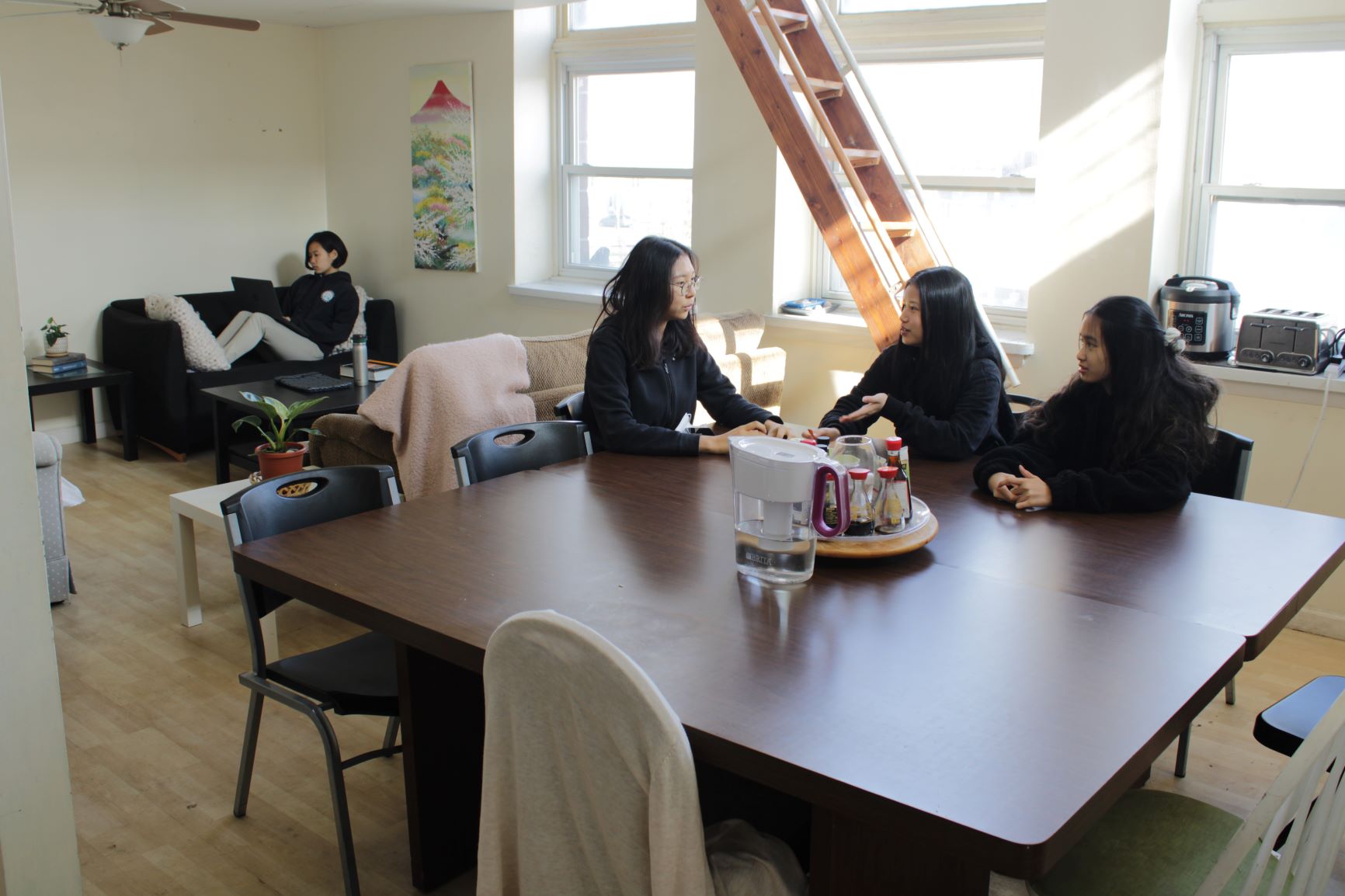 Student Residences and Environments - BIA